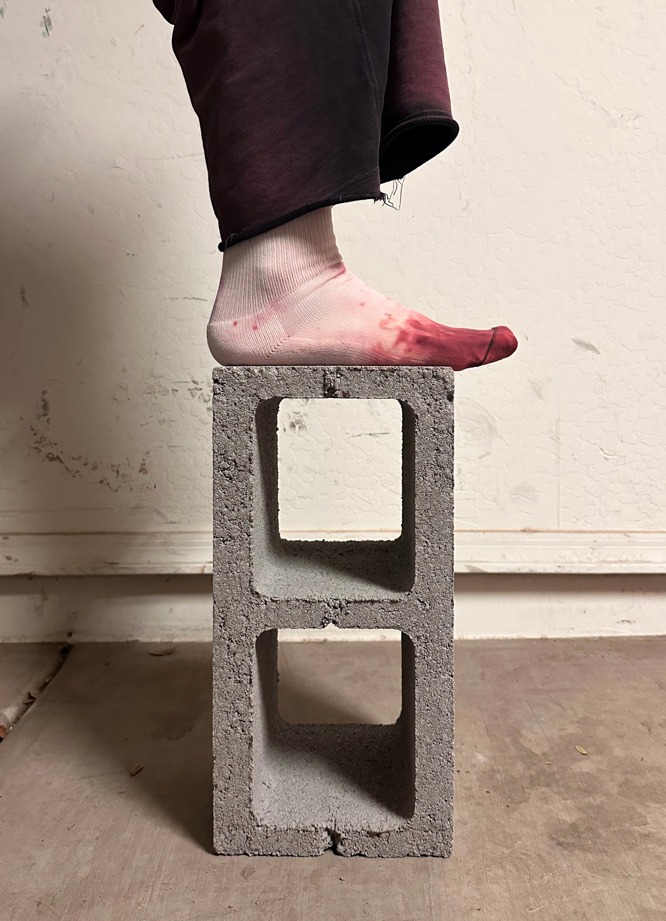 rotten socks – pegasus worldwide